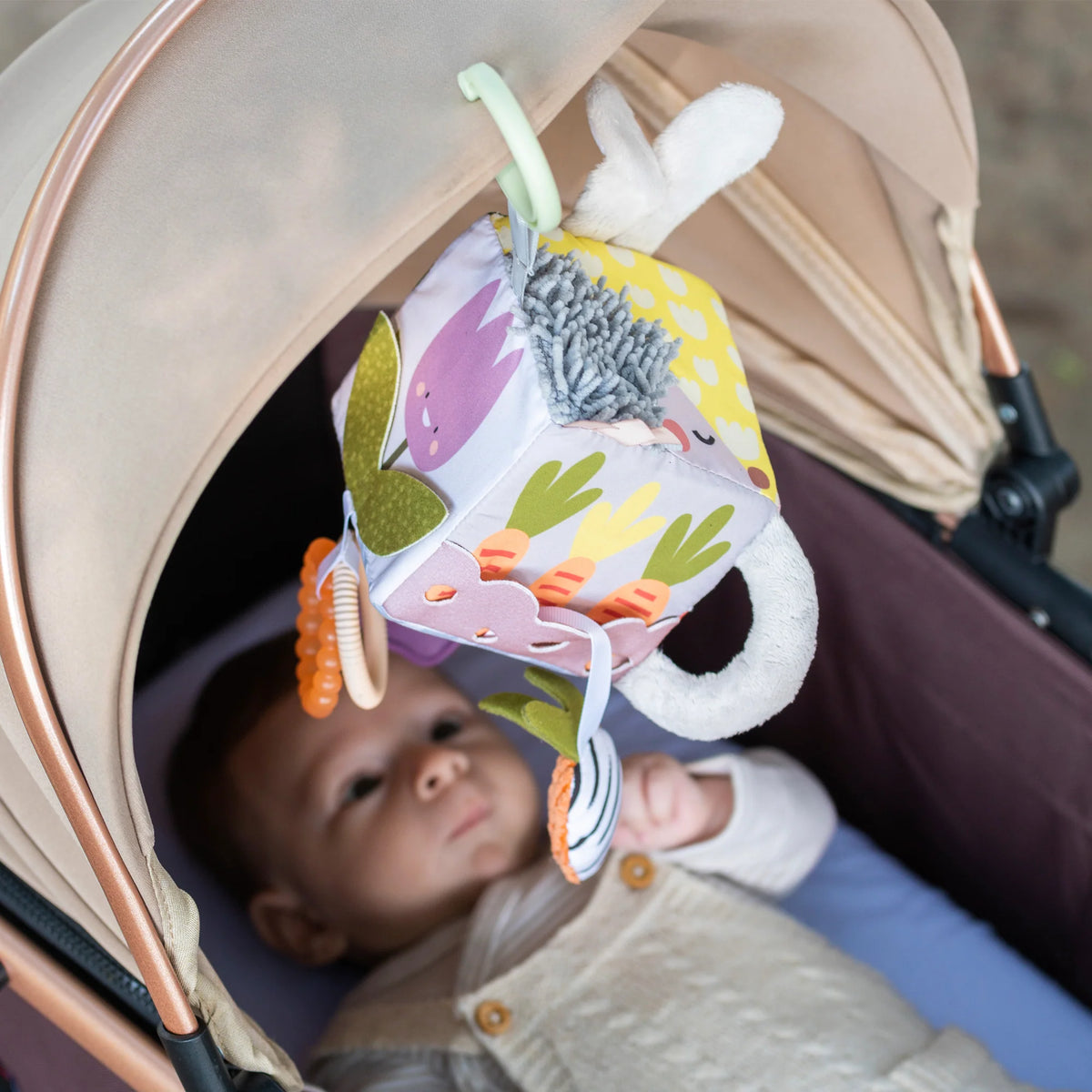 Urban Garden Activity Cube – Little Surprise